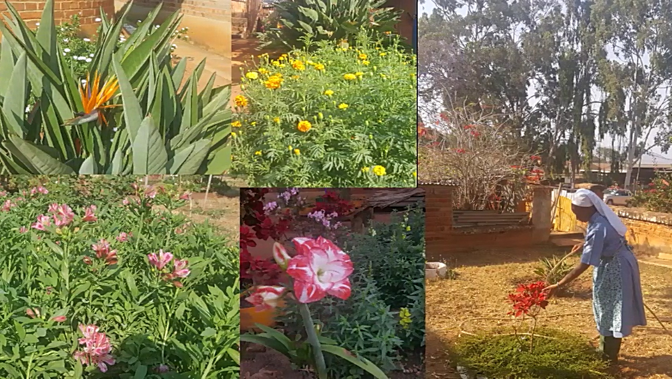 CARE FOR GOD’S CREATION “Peramiho Priory” – ROME