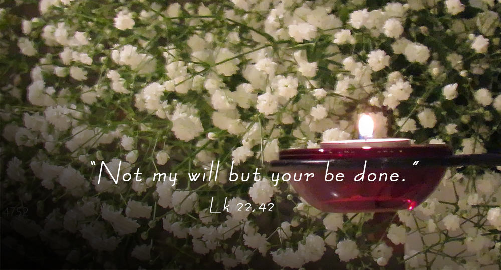 Pray for First Profession in Daegu – ROME