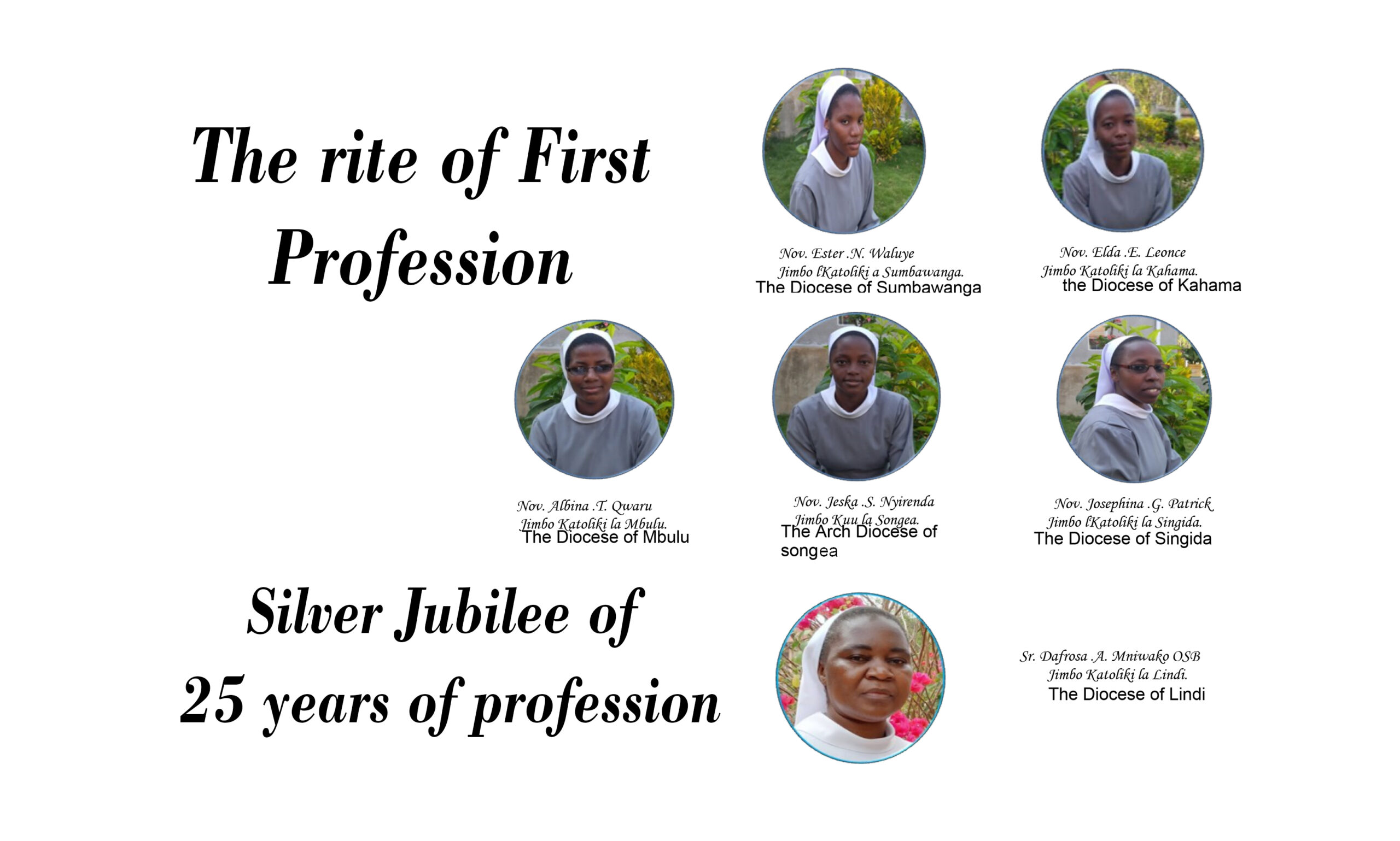Pray for First Profession and Silver Jubilee in Ndanda – ROME